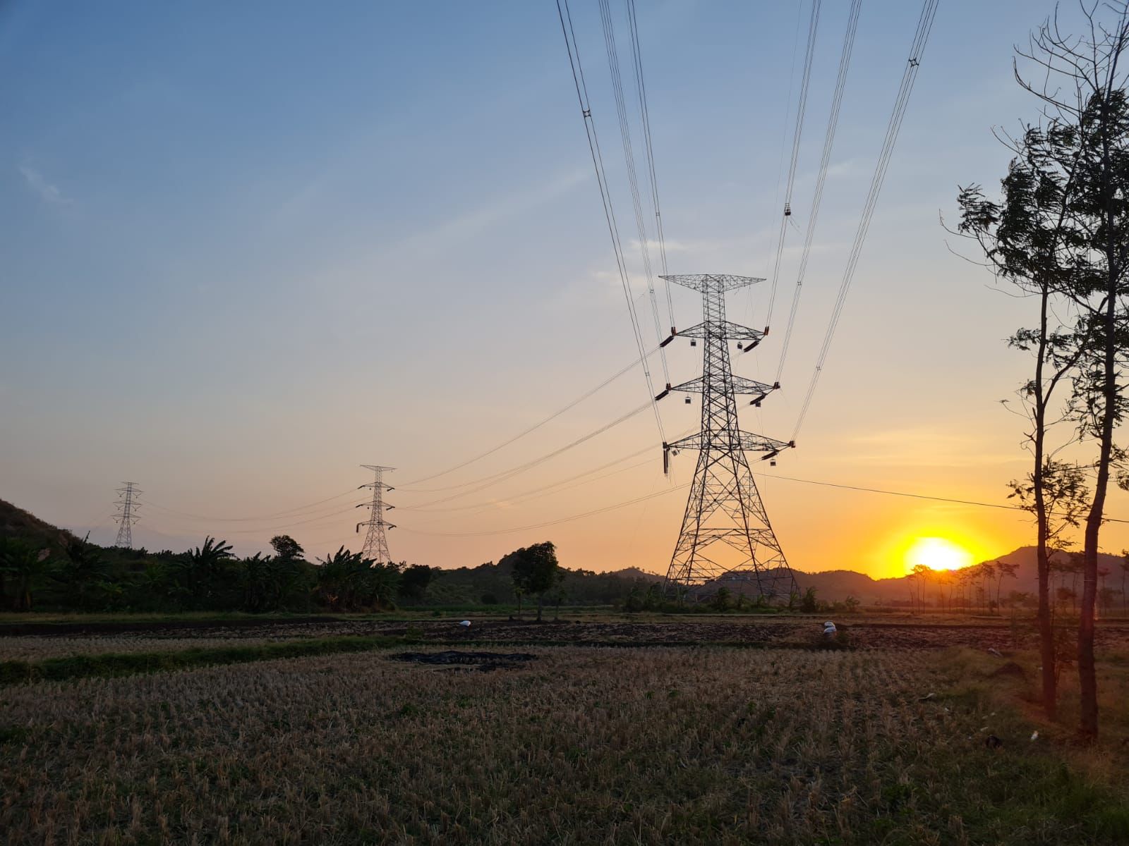 PLN Operasikan Transmisi Kelistrikan Jawa Bali Sepanjang 1.181 Kms ...