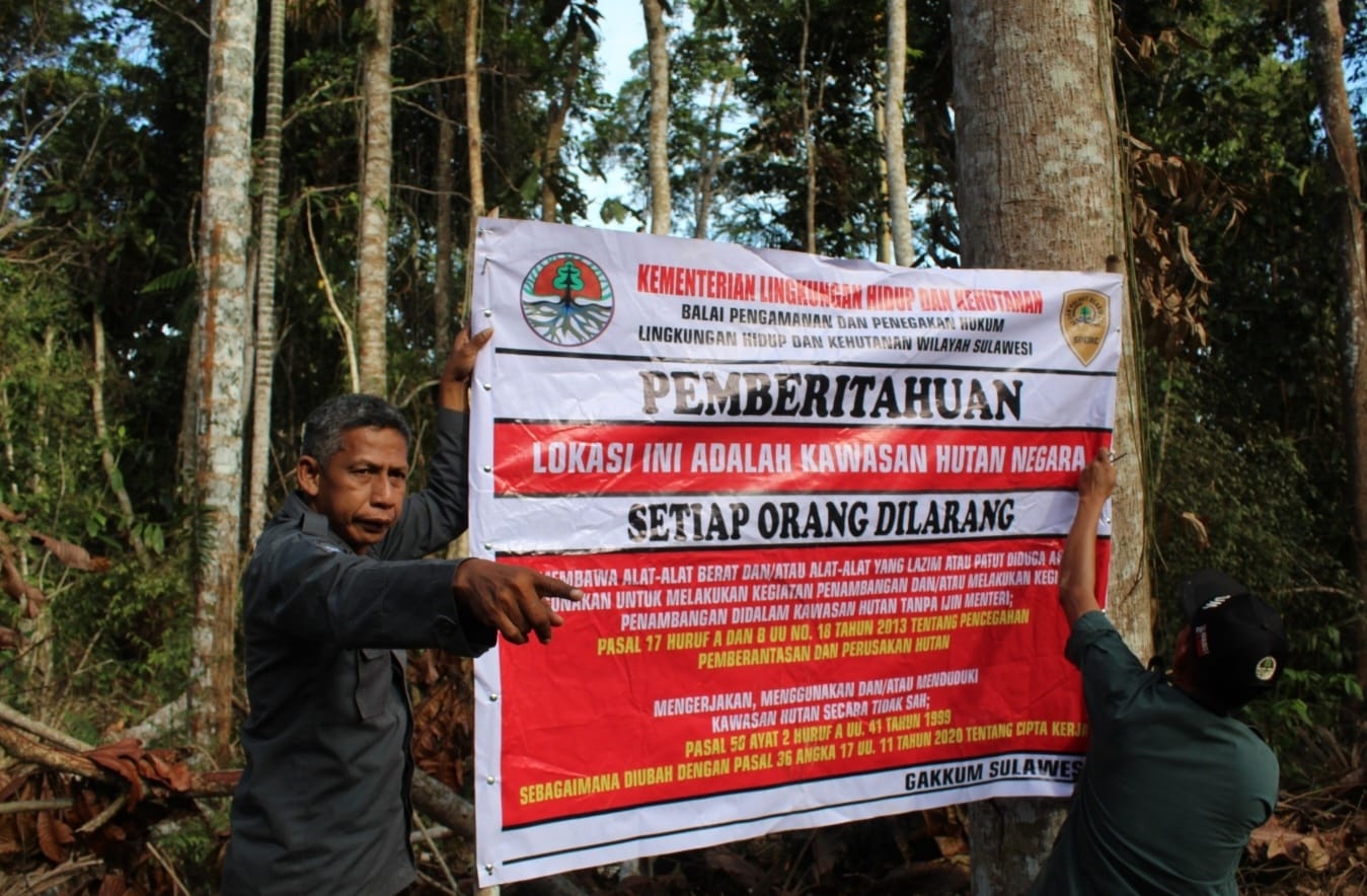 Gakkum LHK Tahan Pemodal Tambang Emas Ilegal di Parigi Moutong - Dunia Energi