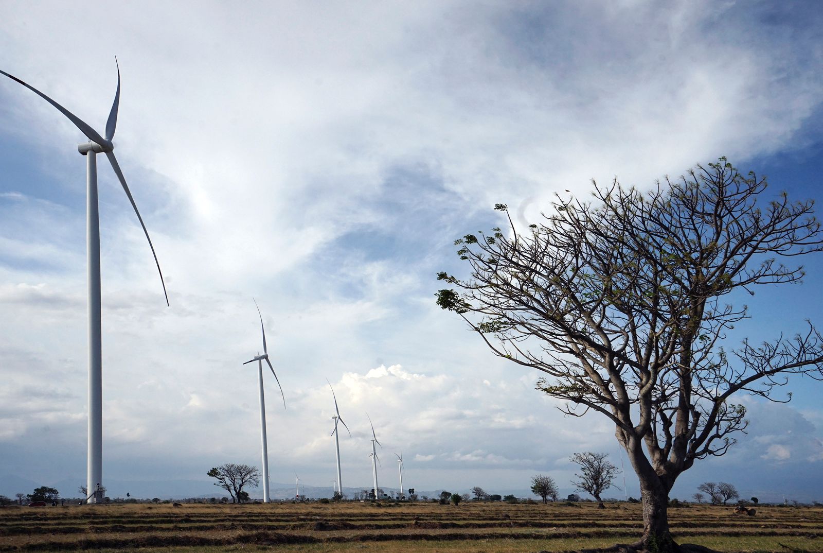 Total Eren and Adaro Power Consortium Wins Wind Power Plant for Tanah ...