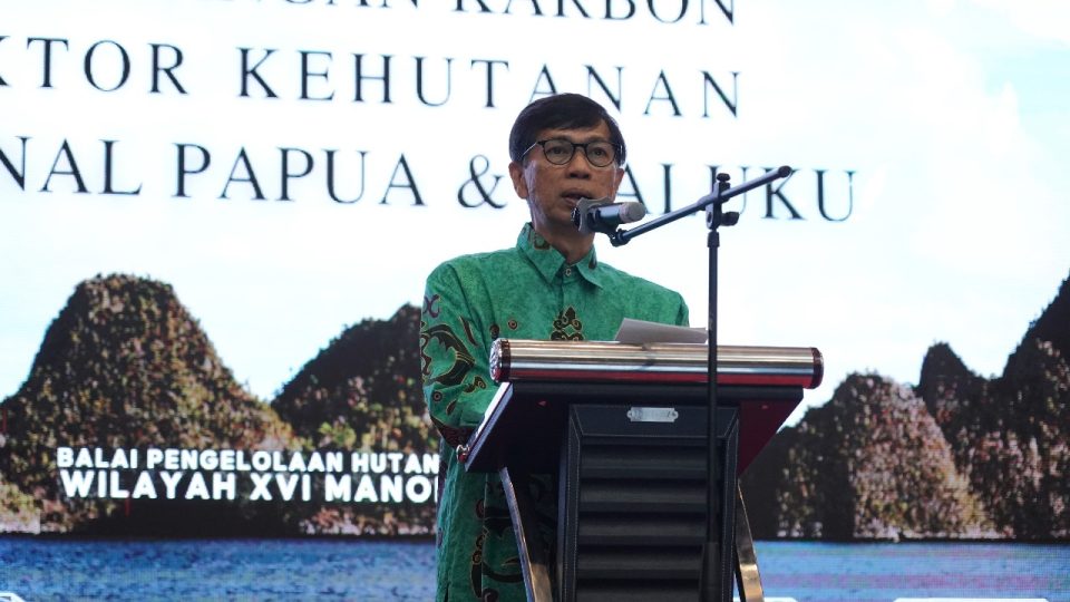 KLHK Terus Sosialisasikan Tata Cara Perdagangan Karbon - Dunia Energi