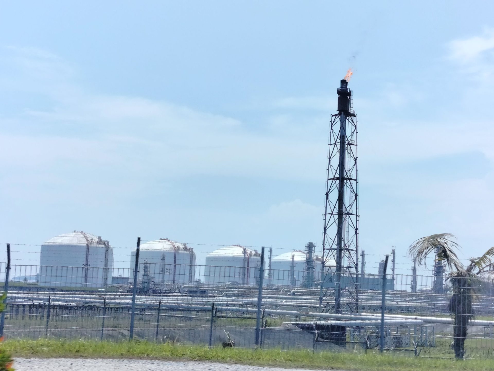 Badak NGL Ready to Expand Business to Boost Gas Utilization - Dunia Energi