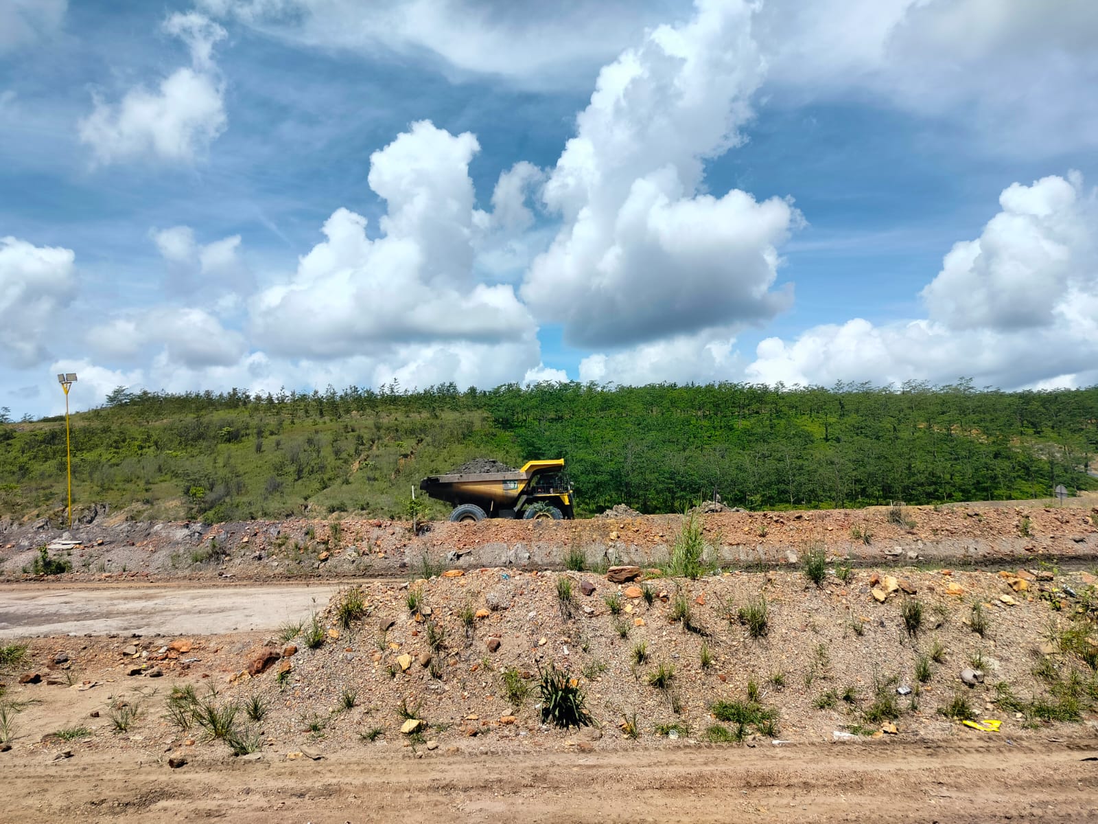 Jelang Tutup Tahun, Pemerintah Terbitkan 1.072 Izin Baru Produksi ...