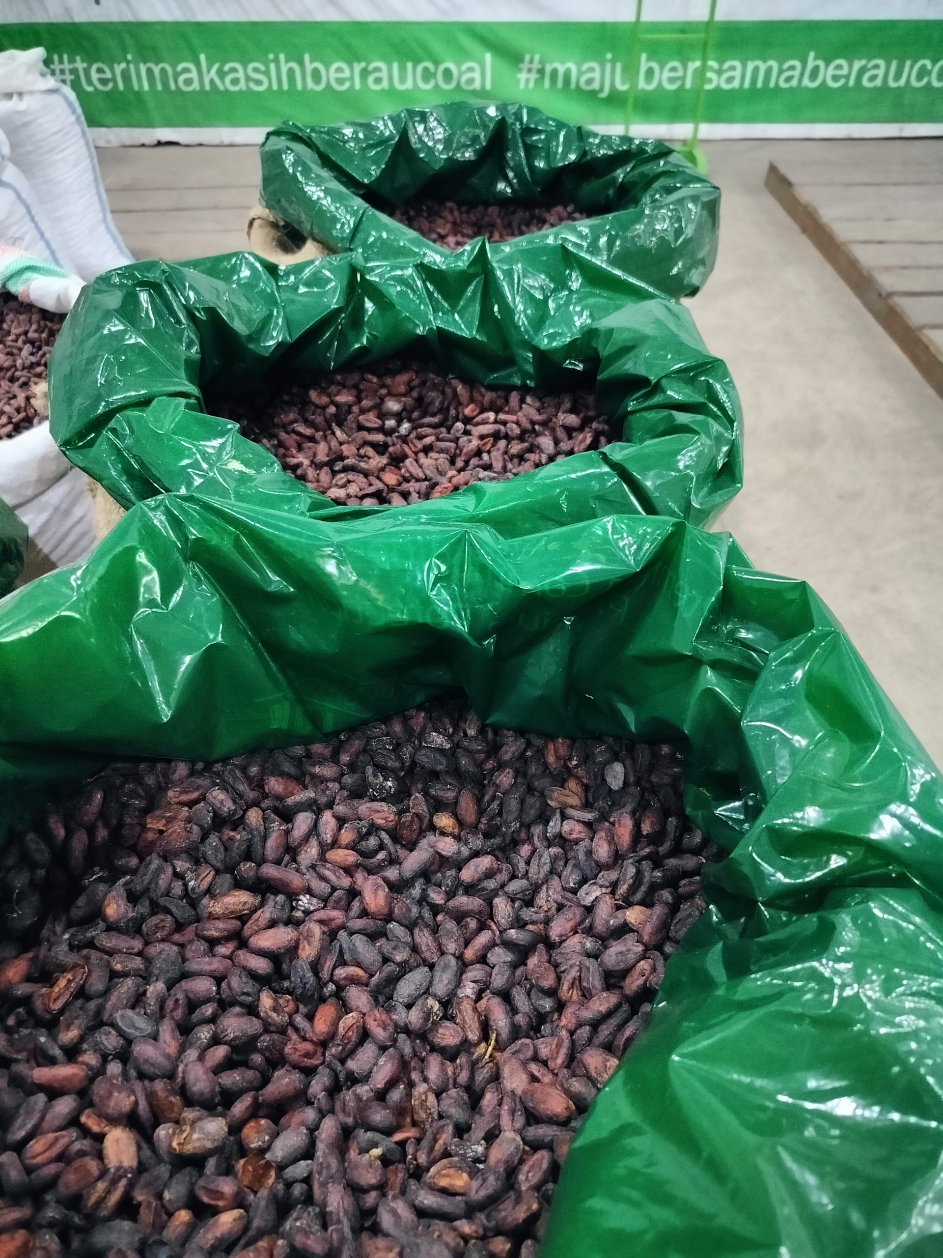 Intip Pengolahan Bahan Baku Coklat Kelas Dunia di Tanah Berau - Dunia Energi