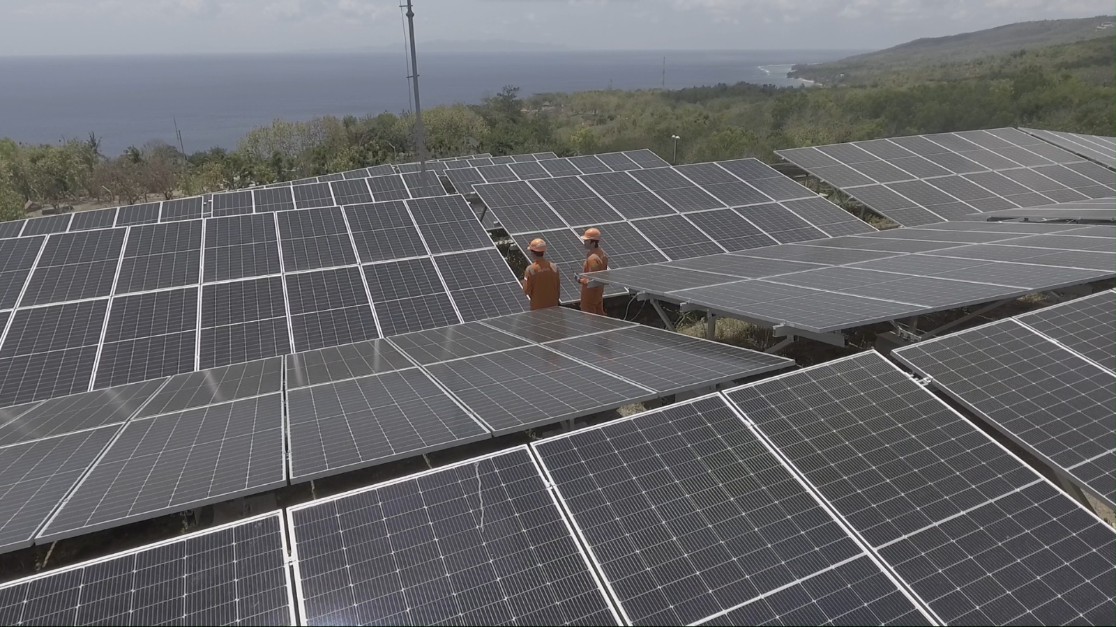 PLN Indonesia Power Kebut Pembangunan PLTS 500 MW dari Proyek Hijaunesia - Dunia Energi